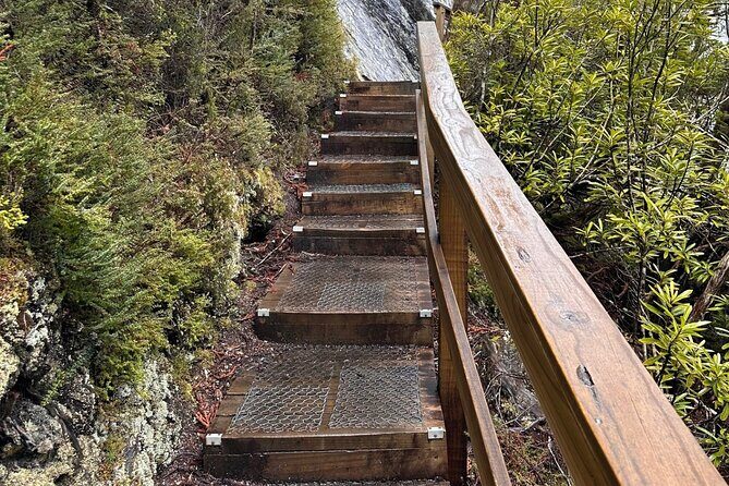Cradle Mountain Half Day Dove Lake Guided Tour with Lunch - Final Thoughts