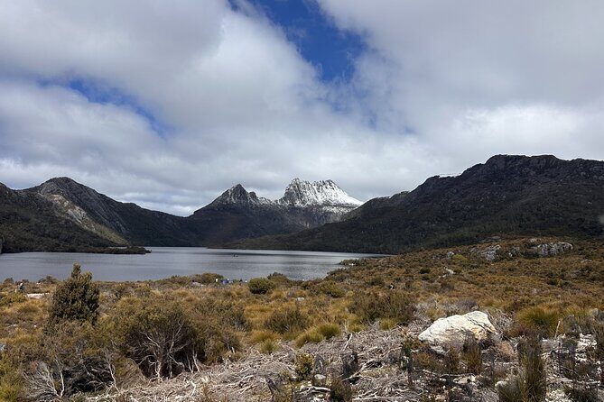 Cradle Mountain Half Day Park Explorer Tour with Lunch - The Full Picture of the Cradle Mountain Half Day Park Explorer Tour