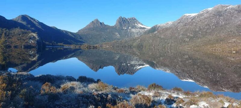 Cradle Mountain National Park by Coach from Launceston - Who Is This Tour Best For?
