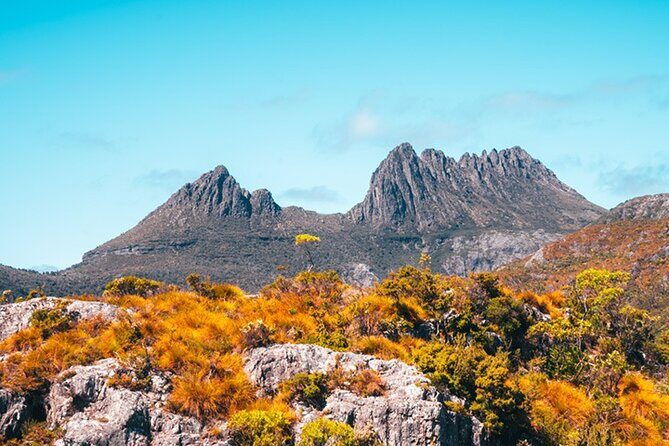 Cradle Mountain National Park Day Tour from Launceston - What Makes This Tour Stand Out