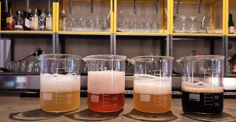 Craft Beer Tasting and tapas in Valencia - Key Points