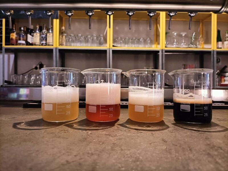 Craft Beer Tasting and tapas in Valencia - An In-Depth Look at the Craft Beer and Tapas Tour in Valencia