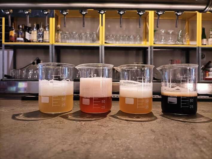Craft Beer Tasting and tapas in Valencia - Practical Details and Tips