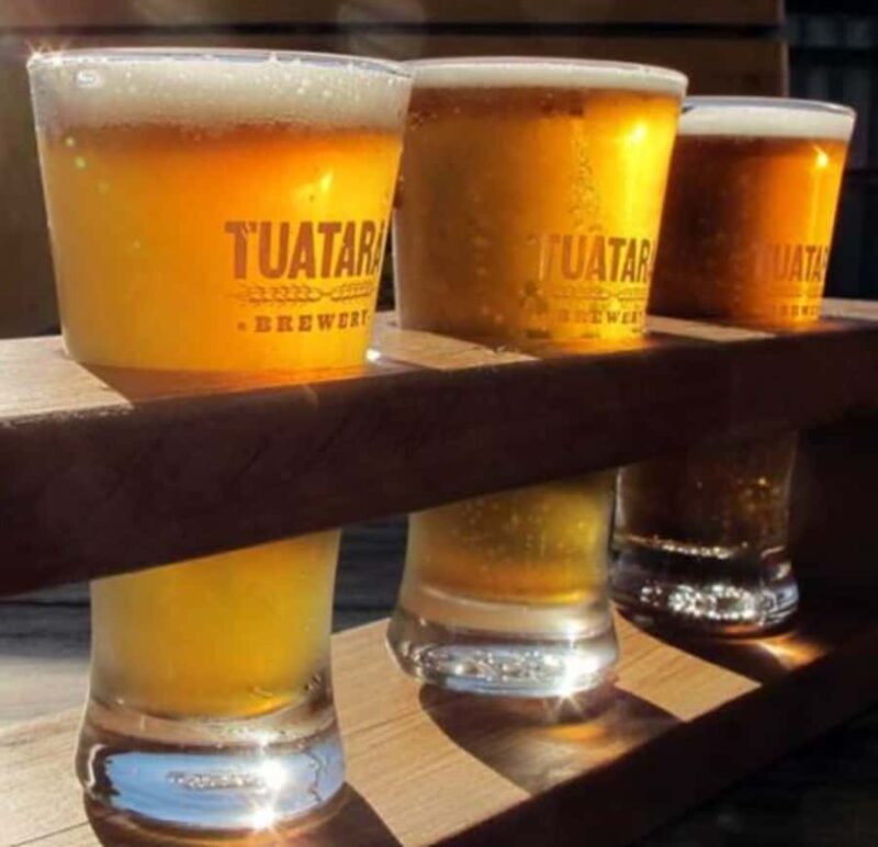 Craft beers & car museum - Half Day Tour - Who Should Consider This Tour?