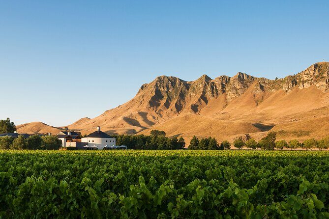 Craggy Range Deluxe Wine Tour - Private Option - What You Can Expect from the Craggy Range Deluxe Wine Tour