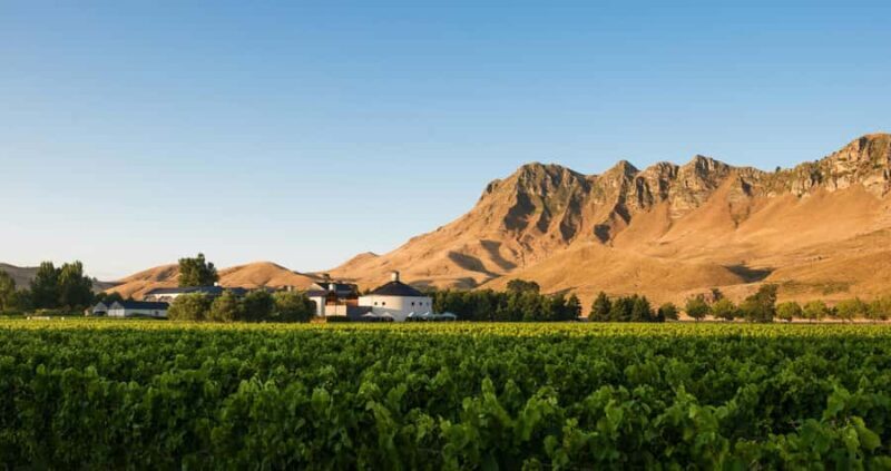 Craggy Range Deluxe, x2 winery tastings + Te Mata Peak - What Sets This Tour Apart