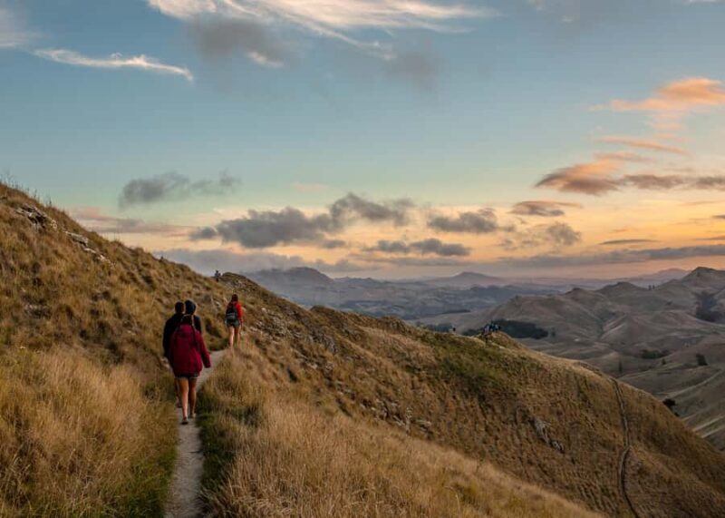 Craggy Range Deluxe, x2 winery tastings + Te Mata Peak - Who Will Love This Experience?