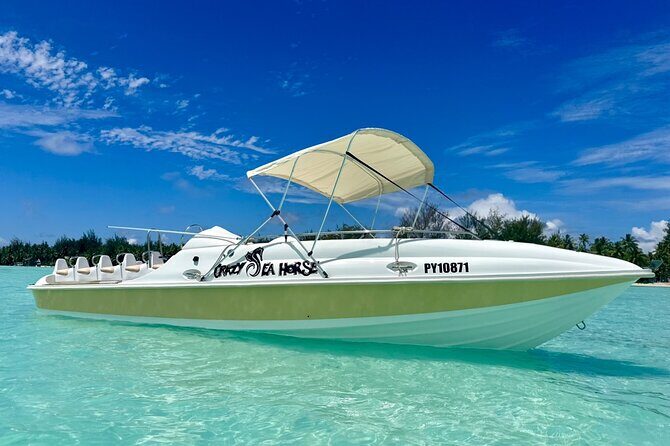 Crazy sea horse Bora Bora Comfortable boat, snorkeling and lunch - Why Consider the Crazy Sea Horse Bora Bora Tour?