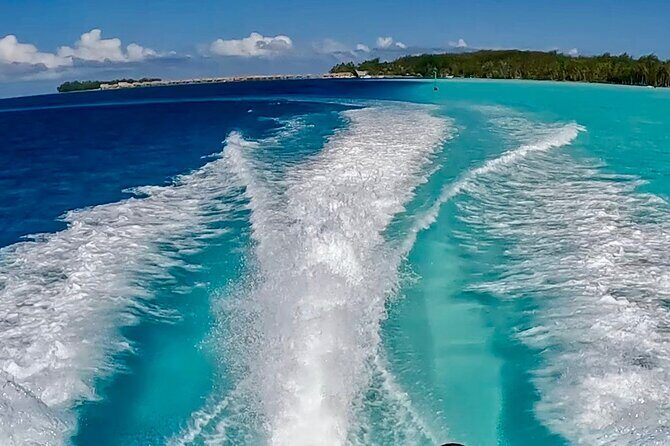Crazyseahorseborabora Comfortable boat , sensational snorkeling . - FAQ