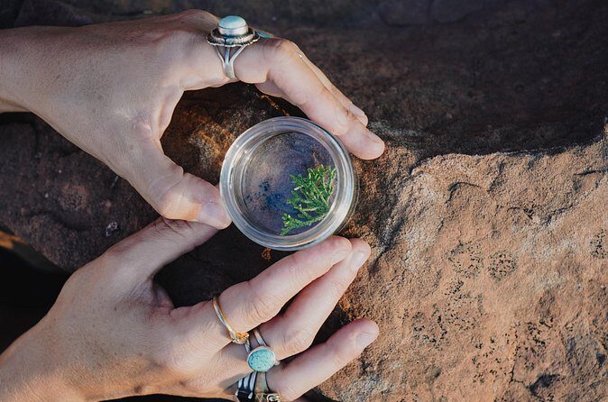 Create Energetic Flower Essences and Reconnect with Nature - Practical Tips for Participants