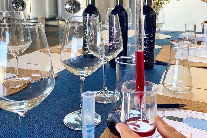 Create Your Perfect Blend with Our Wines. - Exploring the Highlights of the Tour