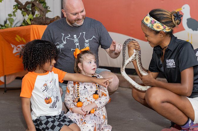 Creatures of the Night - ZooTampa at Lowry Park - Atmosphere and Experience