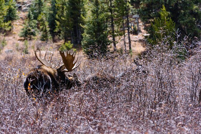 Crested Butte via Cottonwood Pass Private Colorado Adventure Tour - Weather and Cancellation Policy