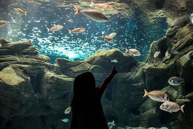 CRETAquarium Entrance Ticket in Crete - The Itinerary: What to Expect During Your Visit