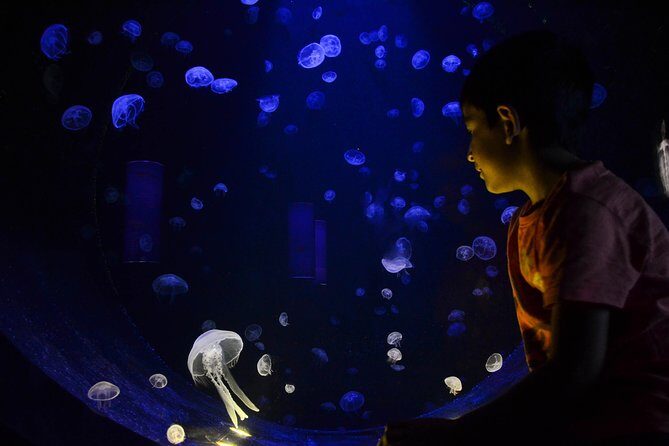 CRETAquarium Entrance Ticket in Crete - Who Will Most Enjoy This Experience?