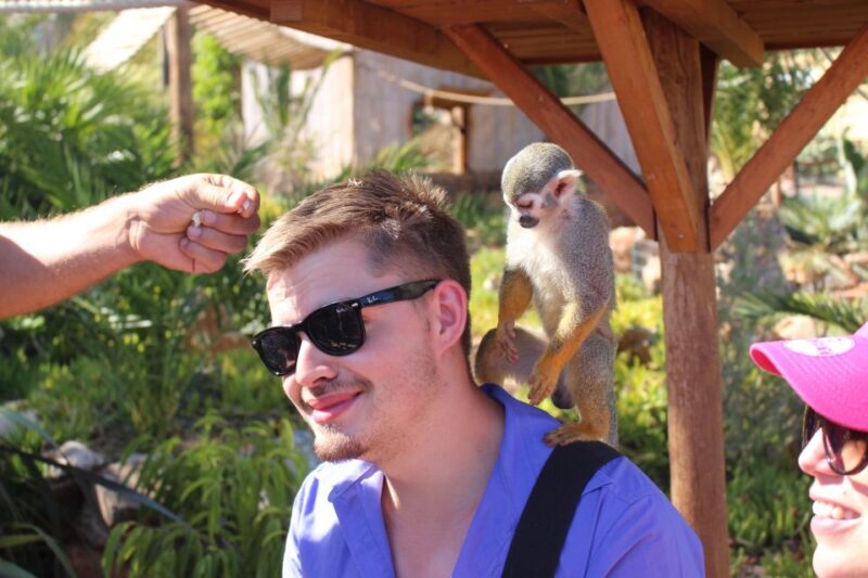 Crete: Agios Nikolaos, Kritsa and Amazonas Park Day Trip - Who Will Love This Tour?