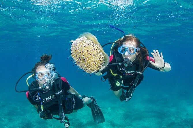Crete-Chania: Snorkeling & Scuba Dive for Beginners by Boat - Key Points