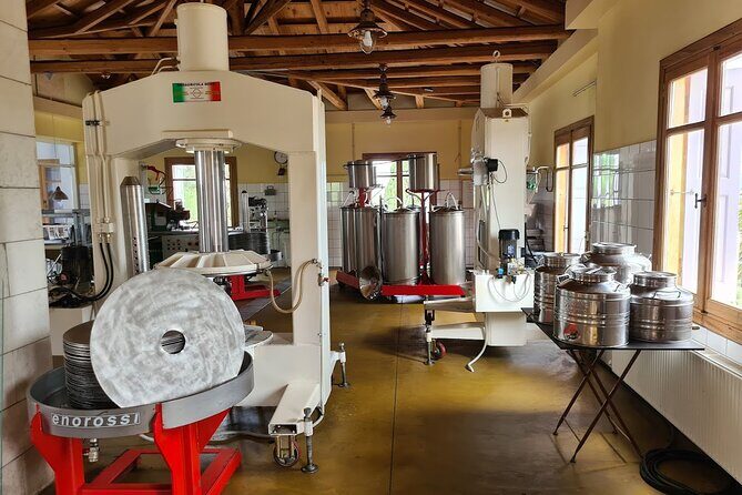 Crete Discovery Palace of Knossos, Wine and Olive Oil Experience - Who is This Tour Best For?