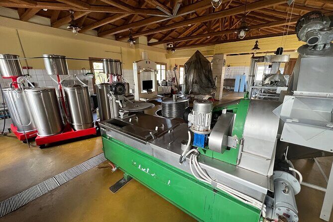 Crete Discovery Palace of Knossos, Wine and Olive Oil Experience - Wrapping Up