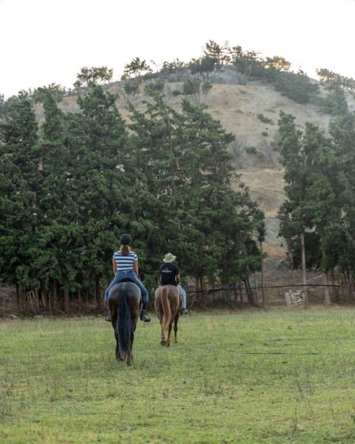 Crete Horse Riding: Cretan Countryside Ride - An In-Depth Look at Crete’s Countryside Ride  