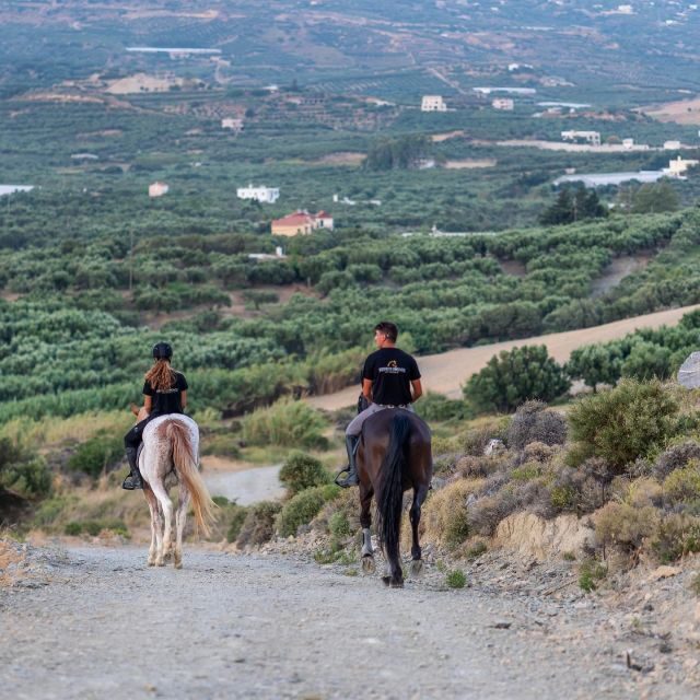 Crete Horse Riding: Cretan Countryside Ride - Frequently Asked Questions (FAQs)  