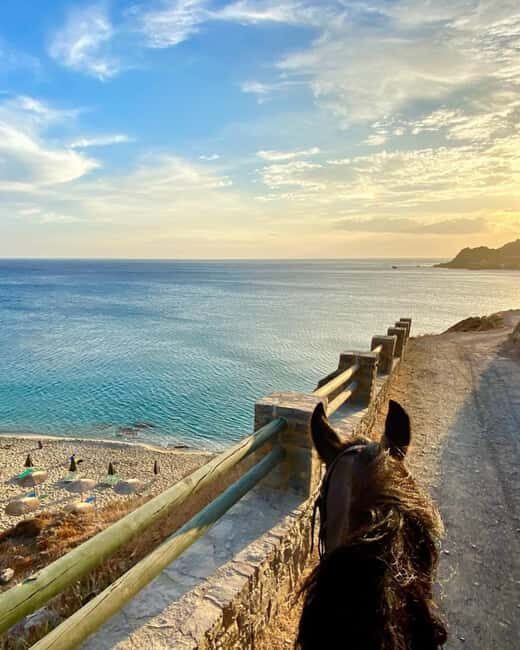 Crete Horse Riding: East Coastline Ride - Key Points
