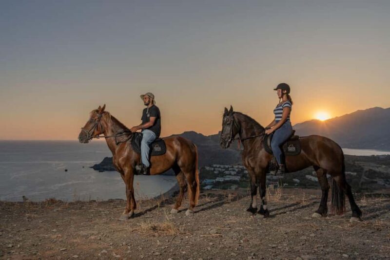 Crete Horse Riding: East Coastline Ride - Exploring the East Coast of Crete on Horseback