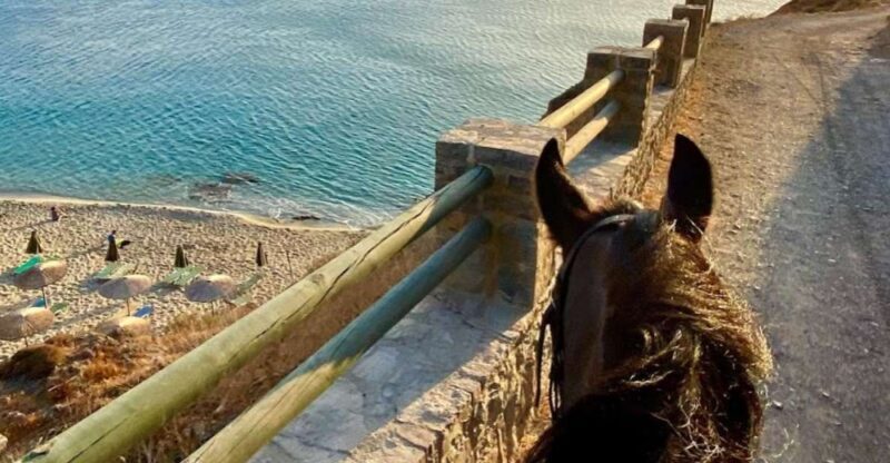 Crete Horse Riding: East Coastline Ride - Pricing and Value