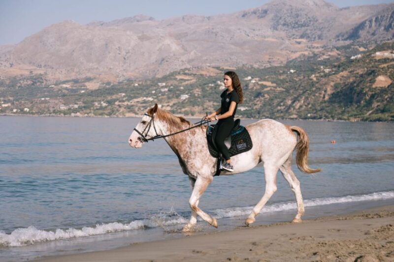 Crete Horse Riding: Plakias Beach Ride - Practical Details and Value