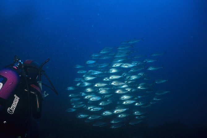 Crete Introductory Scuba Diving Experience - FAQ