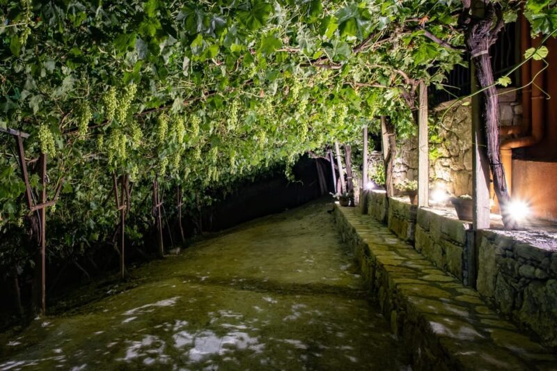 Crete: Jeep Safari Wine & Olive Oil testing Shepherd's House - Final Thoughts: Is It Right for You?