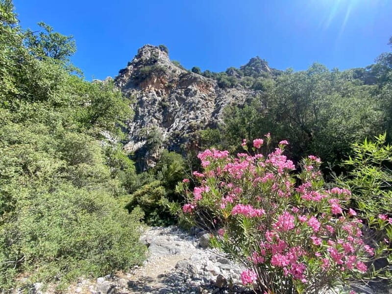 Crete: Kritsa Canyon Guided Hiking Tour - Exploring Crete’s Natural Beauty on Foot