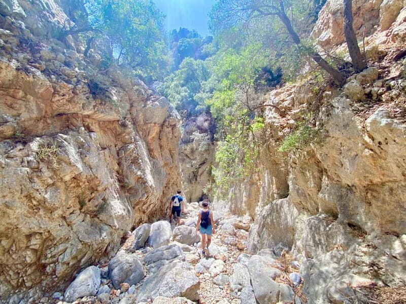 Crete: Kritsa Canyon Guided Hiking Tour - Return Journey and Final Impressions