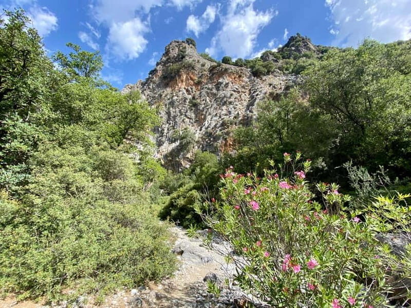 Crete: Kritsa Canyon Guided Hiking Tour - The Sum Up