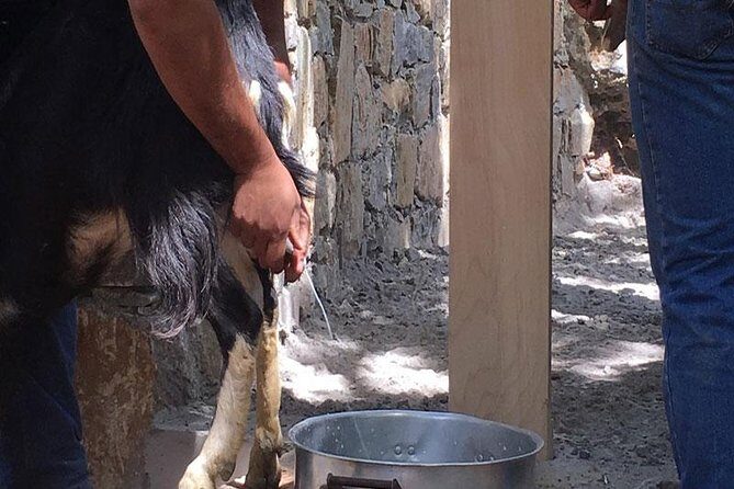 Crete Off-Road & Flavors Safari: Wine, Olive Oil & Mountain Life - Final Thoughts: Is This Tour for You?