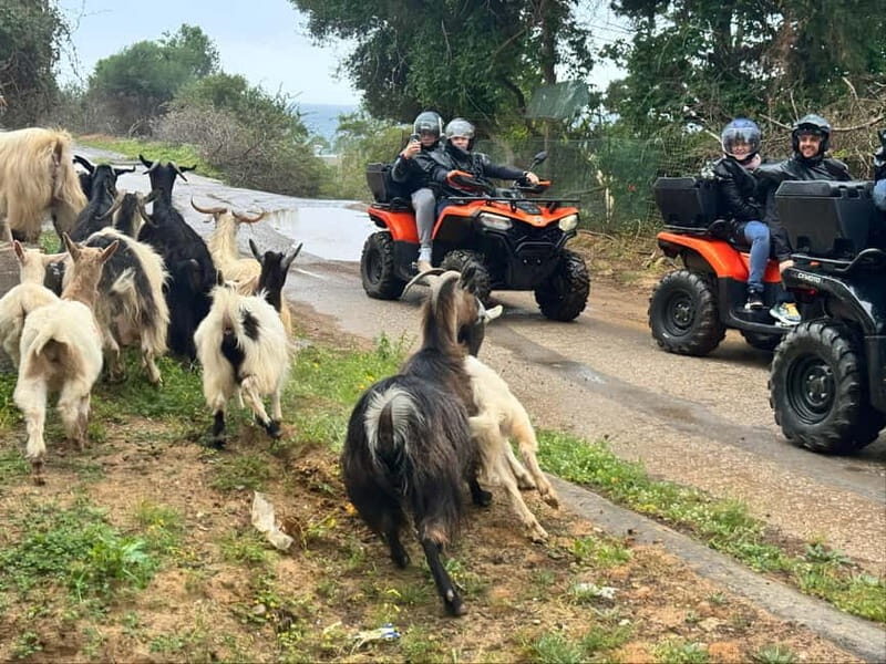 Crete: Quad Safari with Traditional Hidden Villages & Nature - Who Should Consider This Tour?