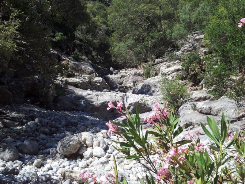 Crete: Richtis Waterfall Full-Day Tour with Olive Tasting - Final Thoughts