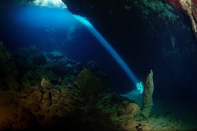 Crete: Scuba Diving for Certified Divers in Chania - Key Points