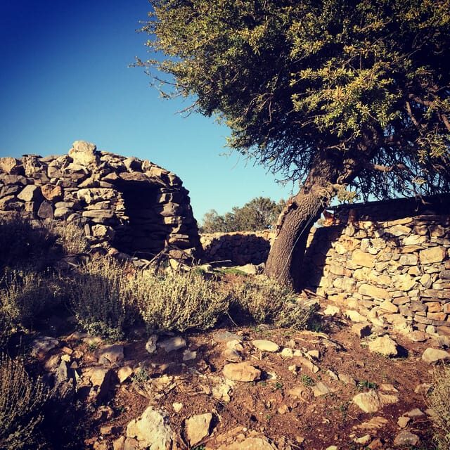 Crete: White Mountains Preserve Day Tour - A Deep Dive into the Tour Experience