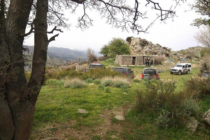 Crete White Mountains Safari Including Lunch - Lunch at Therisso Village