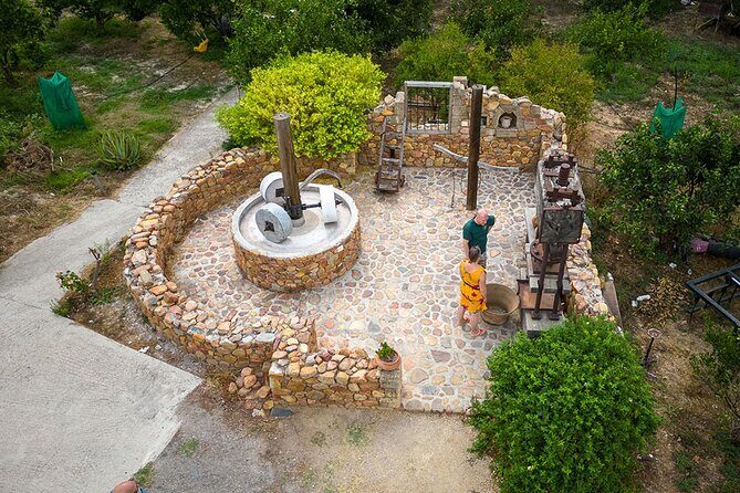 Crete Wine and Olive Oil Tour - The Experience in Detail