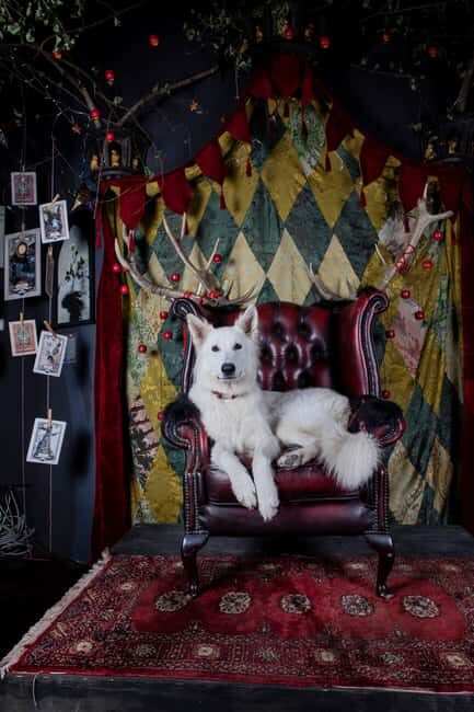 Croatia: Museum of Lost Tales - Key Points