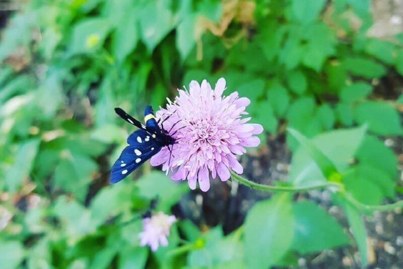 Croatia: Plitvice Lakes Private Tour with Hotel Pickup - Final Thoughts: Who is This Tour Best For?