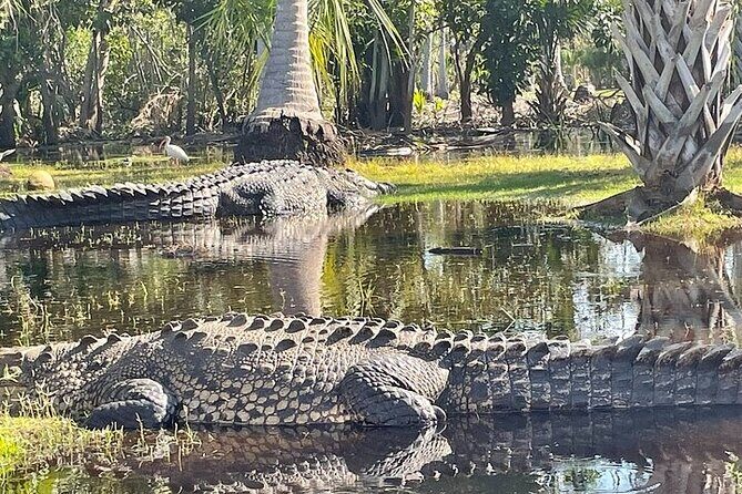 Crocodiles and Turtles Ecological Tour - Starting at Ventanilla Lagoon: A Sanctuary for Nature