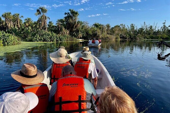 Crocodiles and Turtles Ecological Tour - The Turtle Release at Playa Escobilla: A Heartwarming Moment