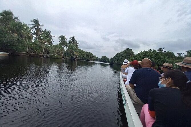 Crocodiles and Turtles Ecological Tour - Who Should Consider This Tour?