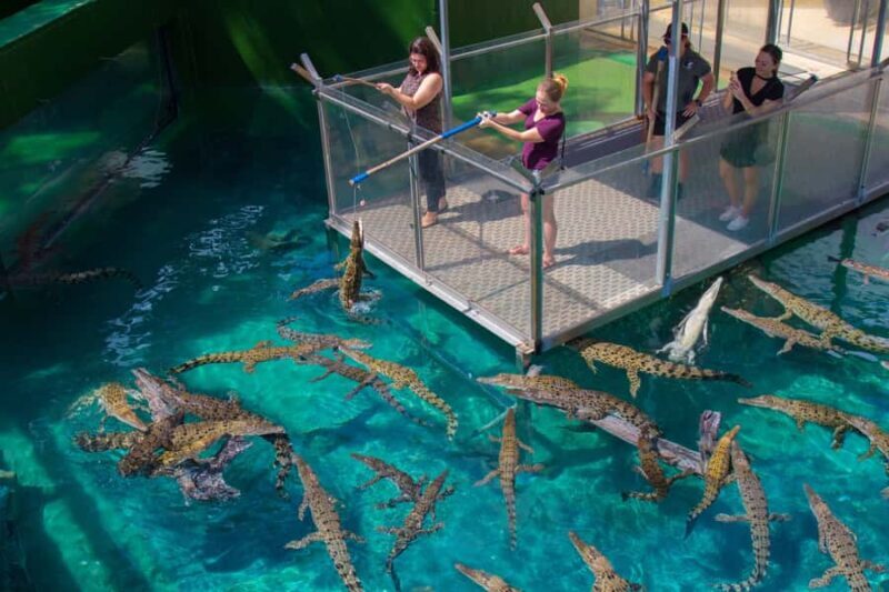 Crocosaurus Cove General Admission Ticket - Visiting Crocosaurus Cove: What to Expect and Why It Matters