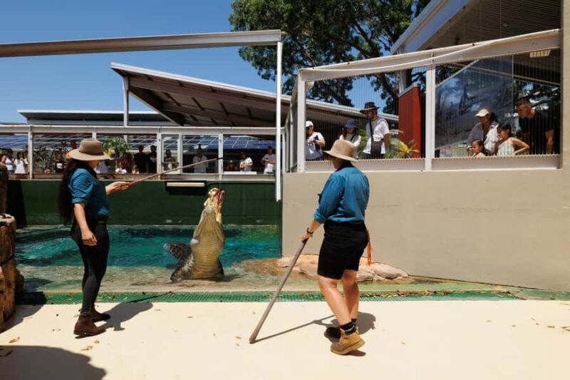 Crocosaurus Cove General Admission Ticket - Is Crocosaurus Cove Worth the Price?