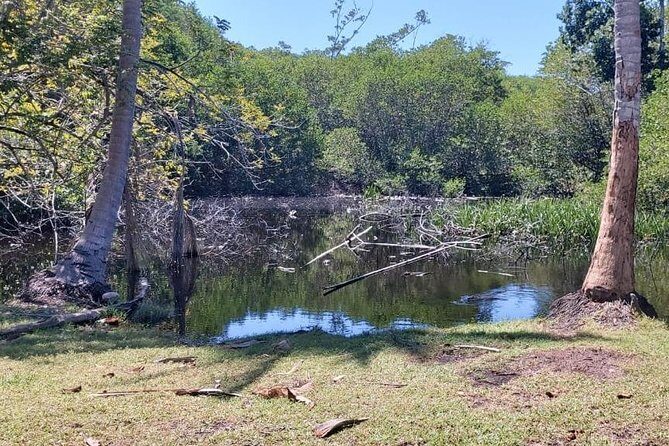 Croc´s & Turtle Aquarium - Who Should Consider This Tour?