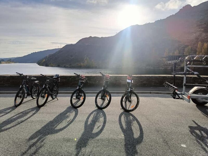 Cromwell: Lake Dunstan Trail Bike Rental and Luxury Shuttle - Key Points